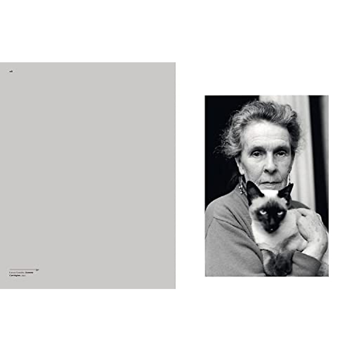 The Tarot of Leonora Carrington