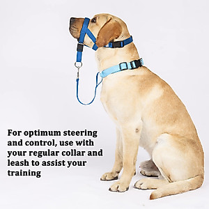 BARKLESS No-Pull Head Collar for Dogs Training & Walking Made Easy, Soft Dog Halter Harness with Expert Training Guide - Put an End to Pulling on The Leash (M, Blue)