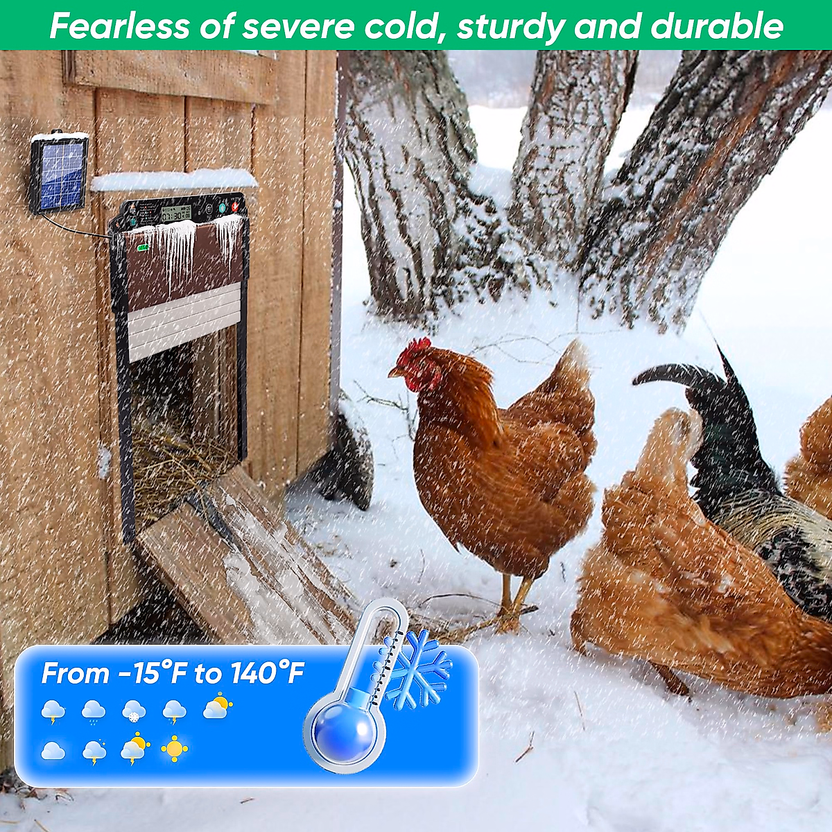 Automatic Chicken Coop Door - Solar Chicken Door with Timer, Light Sensor, Anti-Trap, Remote Control, Full Aluminum and Weatherproof, Anti-Pinch Design for Chickens Ducks Farms