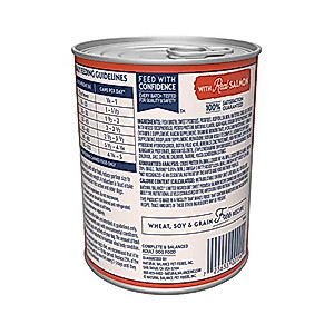 Natural Balance Limited Ingredient Diet Sweet Potato & Fish | Adult Grain-Free Wet Canned Dog Food | 13-oz. Can, (Pack of 12)