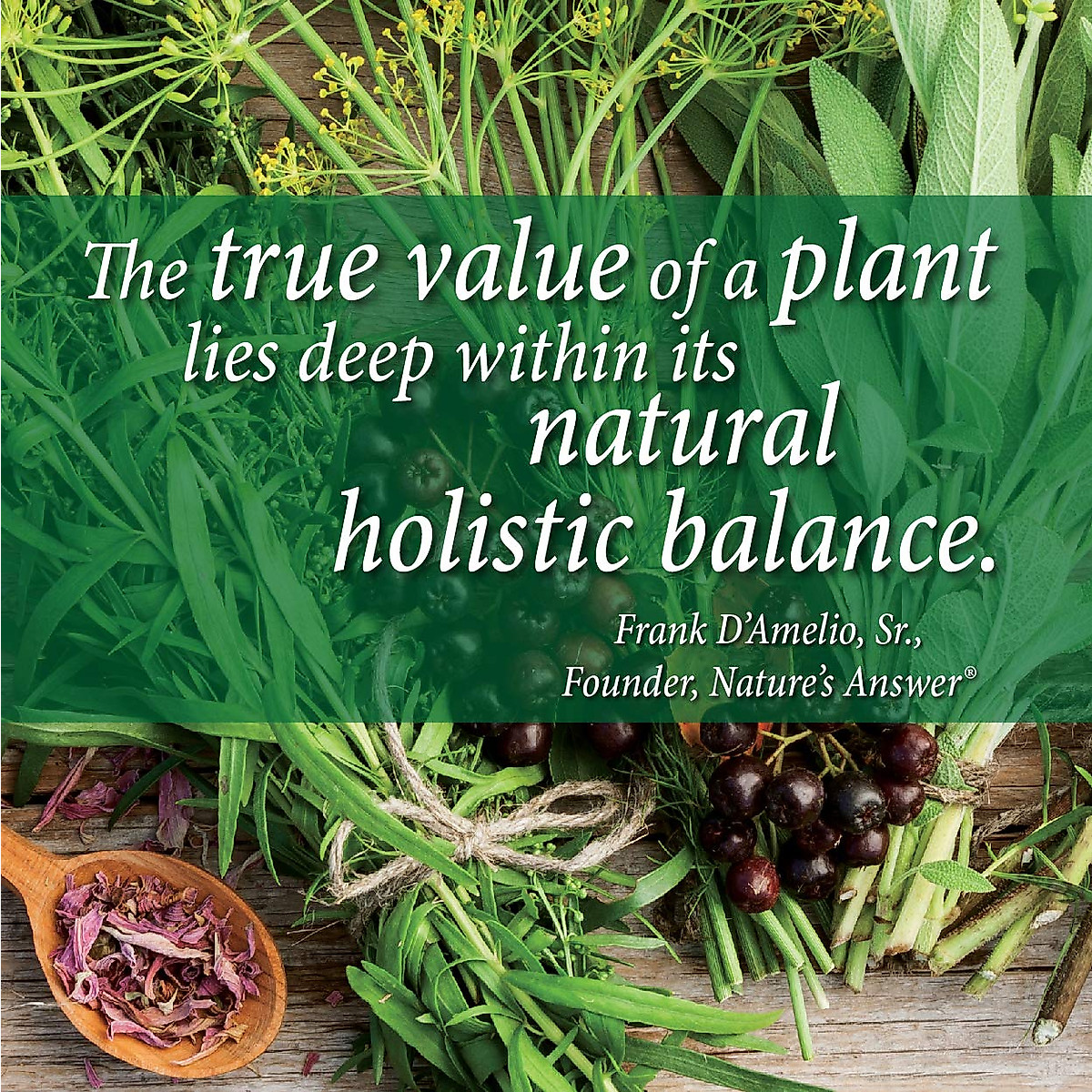 Nature's Answer UT Answer | Urinary Tract Support | Cranberry Flavor Dietary Supplement | Alcohol-Free, Gluten-Free, Not Tested on Animals & Vegan 4oz (Pack of 2)