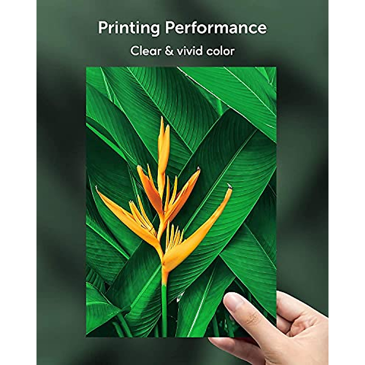 JAR-JAR-BO 245XL Remanufactured Ink Cartridge Replacement for Canon PG-245 PG-245XL PG 243 245XL to Use for Canon PIXMA MX492 MX490 MG2420 MG2520 MG2522 MG2555 MG2920 MG2922 (2 Black)