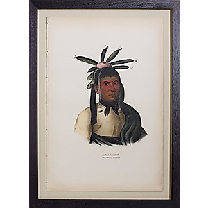 Amisquew, A Menominie Warrior