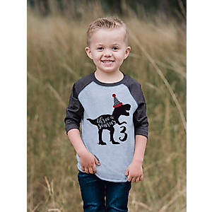 7 ate 9 Apparel Three 3rd Third 3 Birthday Dino Dinosaur Grey Baseball Shirt 3T