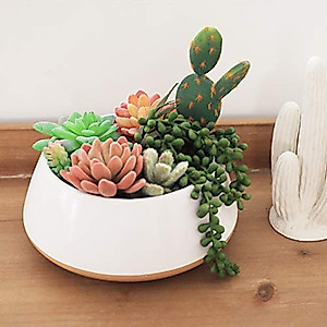 LA JOLIE MUSE Large Succulent Planter Plant Pots, Ceramic Indoor Outdoor Garden Pot with Drainage for Plant Flower, 8 Inch, Sandy Beige & White