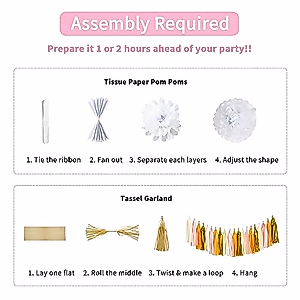 ANSOMO Pink and Orange Happy Birthday Party Decorations Hot Pink Gold Banner Balloons Décor Supplies Women Girls Teens Her Tassel Garland Tissue Pom Poms