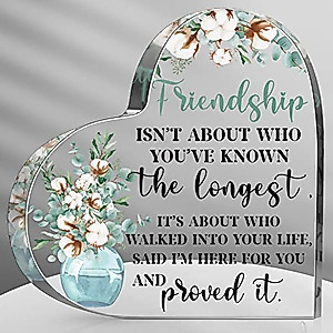 Friendship Gift for Woman Friend Sentimental Gifts Bestie Friend Sunflower Gifts for Women Cheer up Gift for BFF Going Away Gift Birthday Gifts for Friends (Watercolor Eucalyptus)