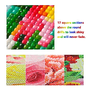 Ginfonr DIY 5D Diamond Art Kits for Adults, Fish Mountains Diamond Painting for Adults, Diamond Art Landscape Full Drill, Diamond Art Kits Embroidery Rhinestone Craft for Home Wall Decor 12 * 16 Inch