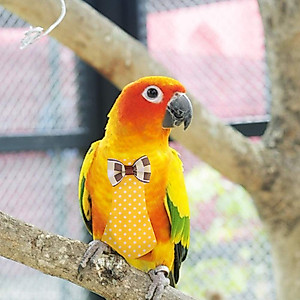 GLOGLOW Birds Diaper, Reusable Birds Flight Suits Nappy Diaper Clothes Washable Flight Nappy Parrot Diaper Nappies Parrots Pigeons Diaper (Yellow M)