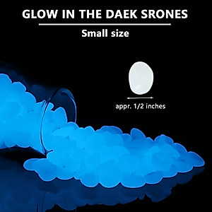Glow in The Dark Rocks Outdoor Decorative Stones (1000 PCS White Glows Blue) Small Luminous Pebbles for Garden Walkway Fish Tank Aquarium Planter Vase Filler