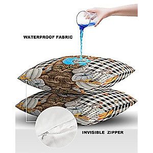 Outdoor Pillow Covers for Patio Furniture 16x16 inch 2PCS, Square Waterproof Garden Cushion Thanksgiving Harvest Pumpkin Cats Buffalo Plaid Throw Pillow Cover Shell for Sofa Couch Bench Seat