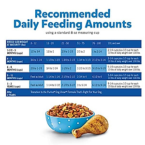 Purina Puppy Chow High Protein Dry Puppy Food, Complete With Real Chicken - (4) 4.4 lb. Bags