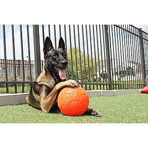Jolly Pets 8" Soccer Ball, Orange, Large/X-Large