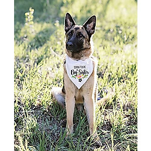 PNTKION 2 Pack Soon to be Big Biother Sister, White Flower Pattern Cotton Pet Dog Bandana, Pet Dog Pregnancy Announcement Gender Reveal Photo Prop for Dog Lovers Owner Gifts