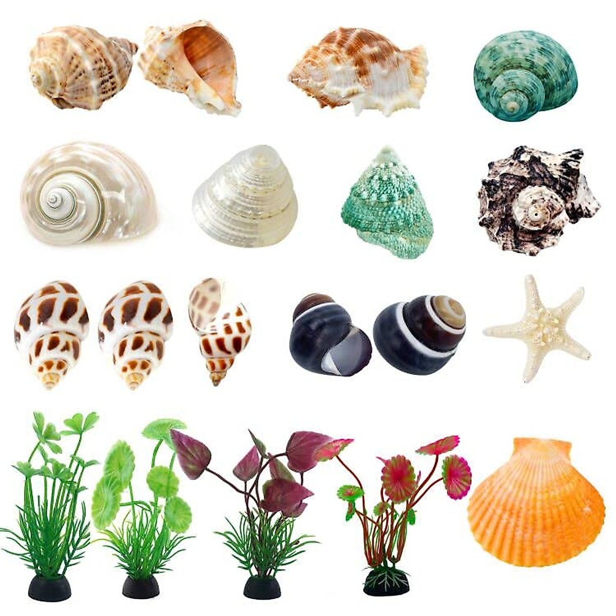 Hermit Crab Shells Small to Medium 1/2-3/4 Inches Assorted Opening Sizes Natural Turbo Shells No Painted Snail Seashells 11pcs with Artificial Plants Starfish and Decorations