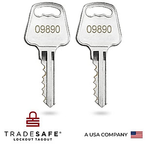 TRADESAFE Lockout Tagout Locks Set - 10 Red Loto Locks, Lockout Locks Keyed Different, 2 Keys Per Lock, OSHA Compliant Lock Out Tag Out Padlocks, Safety Padlocks for Electrical Lockout Tag Out Kits