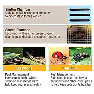 Nature's Way Bird Products PWH4 Deluxe Insect House