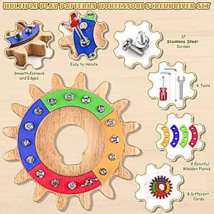 Devolamn Toddler Toys, Wooden Toys, Montessori Toys for 3 4 5, 35 in 1 Wooden Montessori Screwdriver Board Set, Learning Sensory Bin Toys Preschool Toys, Fine Motor Skills Toys (20CM)