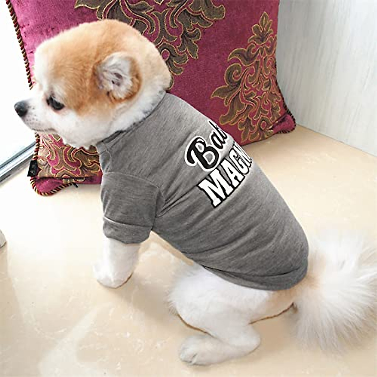 Small Dog T Shirts Boys Dog T Shirt Cat Puppy Vest Small Summer Shirt Pet Clothes Dog Outfits Girl Christmas