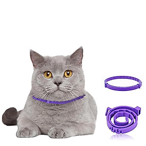 Calming Collar for Cats | 60 Days of Effective Stress and Anxiety Relief with Efficient Quick Release Pheromones | Soothing Comfort, Long-Lasting Calm That Reduces Stress and Helps Calm Cats Anxiety