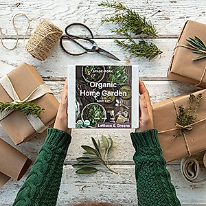 Organic Indoor Lettuce & Greens Garden Starter Kit - Certified USDA Organic Non GMO - Includes Spinach, Kale, Red Romaine, Loose Leaf Lettuce Seeds for Planting, Potting Soil, Peat Pots