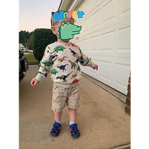 Toddler Sweatshirts Dinosaur Shirts Clothes for Boys Long Sleeve Cartoon Space Pullover Tops for Kids grey-8011 110/4T