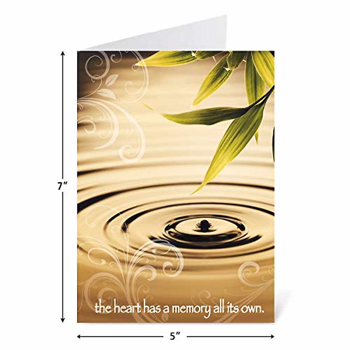 Thoughts of Peace Sympathy Greeting Cards - Set of 8 (4 Designs), Large 5" x 7", Sympathy Cards with Sentiments Inside, White Envelopes