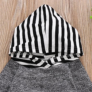 Toddler Infant Baby Boy Girls Clothes Hoodie Fall Winter Sweatsuit Pants Gender Neutral Long Sleeve Outfit Set(18-24 Months, Dinosaur)