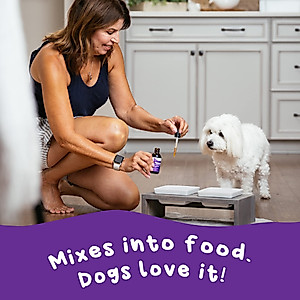 Paramount Pet Health All Natural Glucosamine for Dogs - 260mg Glucosamine for Small Dogs - Liquid Dog Joint Supplement & Dog Glucosamine - Safe Joint Supplement for Dogs