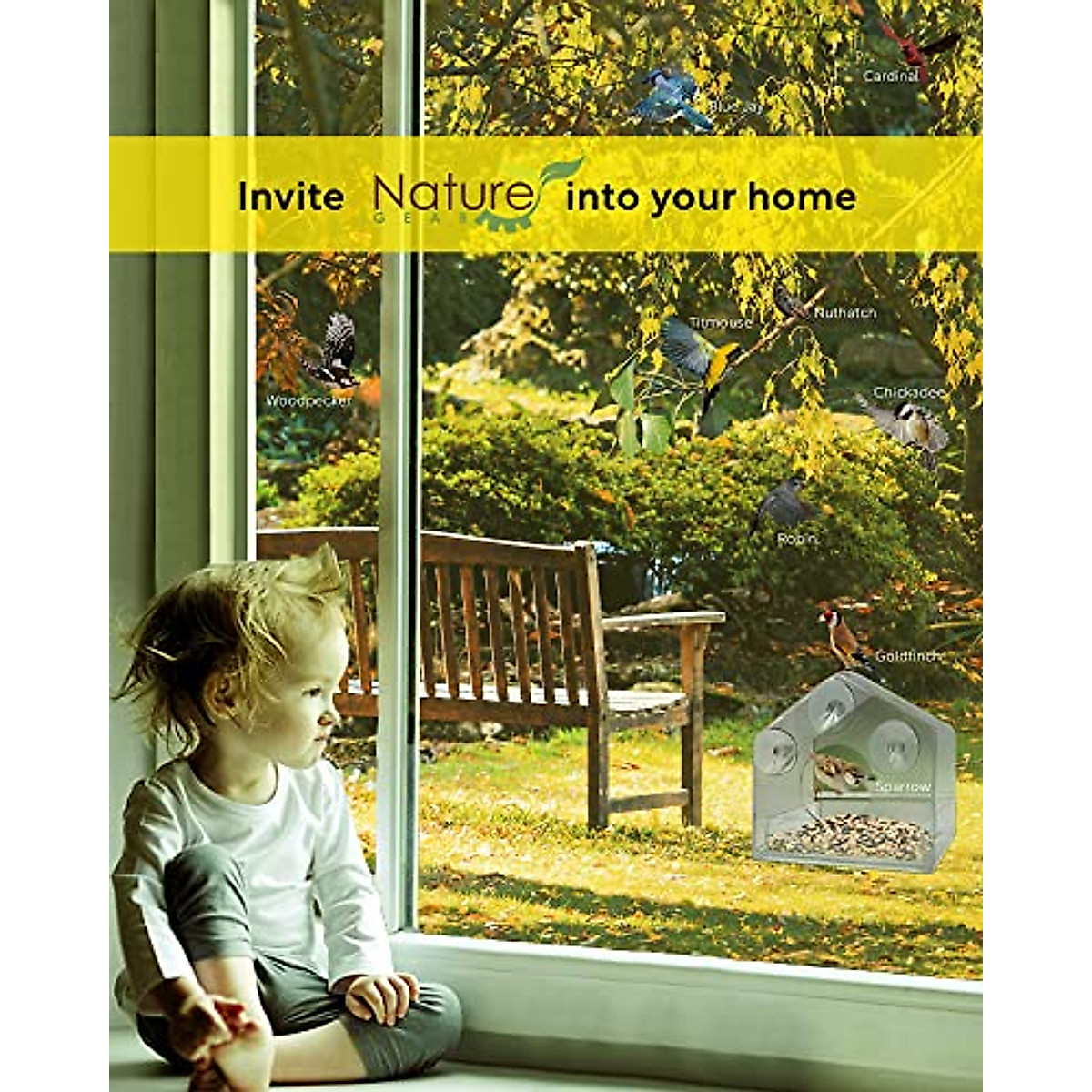 Nature Gear Window Bird Feeder - Refillable Sliding Tray - Weather Proof - Snow and Squirrel Resistant - Drains Rain Water - See Songbirds from Home! (House Style) (House Model)