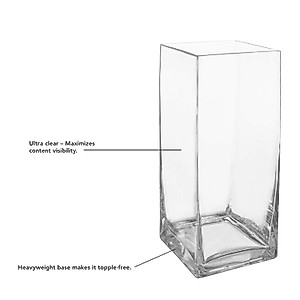 Royal Imports Flower Glass Vase Decorative Centerpiece for Home or Wedding - Tall Rectangle Shape, 12" Tall, 5"x5" Opening