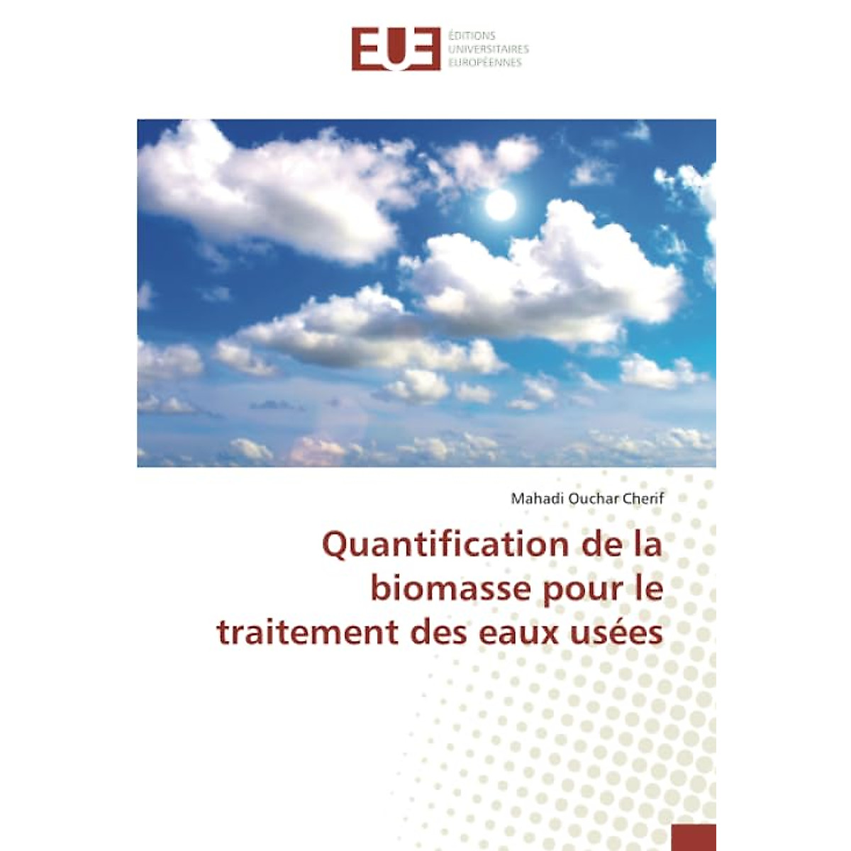 Quantification de la biomasse pour le traitement des eaux usées (French Edition)