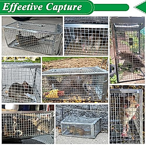 2 Packs Humane Rat Trap Outdoor Mouse Traps Indoor Use, Rodent Chipmunk Traps for Small Live Animal Catch and Release