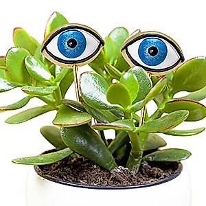 Tuitessine Resin Plant Eyes Stakes Set of 2, Eyeball Garden Plant Accessory, Evil Eye Plant Picks, Indoor Outdoor Plant Pot Decoration, Novelty Gift for Plant Lover, Plant Mom, Plant Lady
