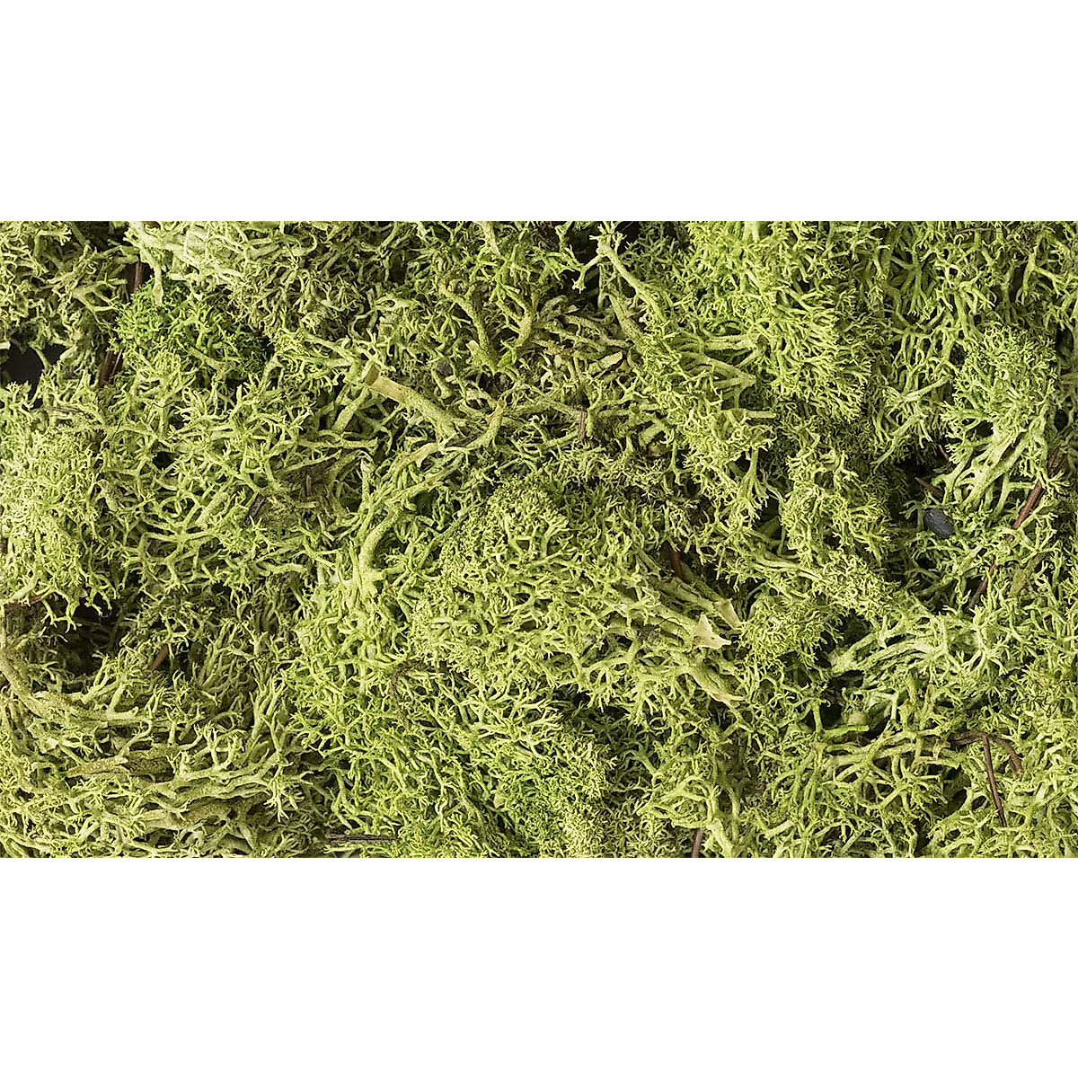 Woodland Scenics Lichen GRN, Light Green