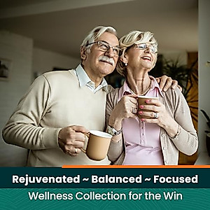 Herbaly Wellness Collection Organic Herbal Ginger Tea, 70 g, 28 Count Bag (Pack of 1)