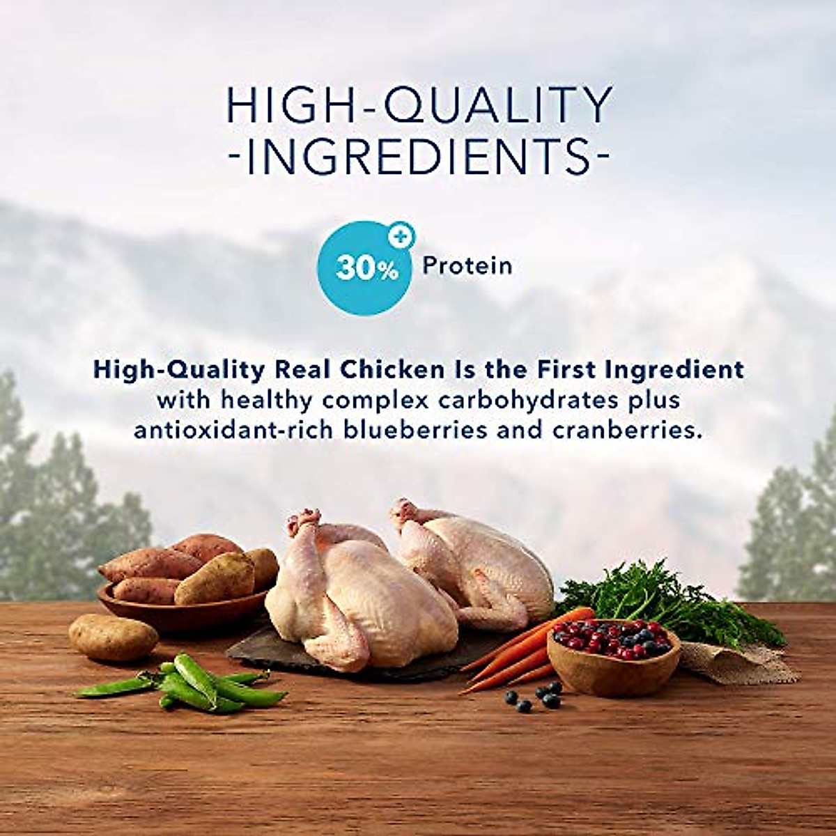 Blue Buffalo Wilderness High Protein, Natural Adult Indoor Dry Cat Food, Chicken 11-lb