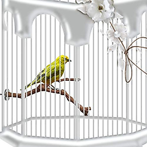 PINVNBY Parrot Perches Natural Birds Stand Wild Grape Stick Grinding Paw Climbing Wood Cage Accessories and Toy for Parakeet, Lovebirds,Budgies,Cockatiels and Finches