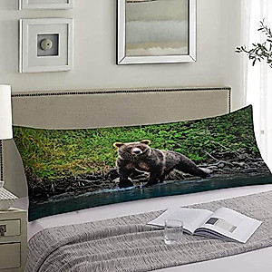 Body Pillow Cover,Grizzly Brown Bear in Lake Alaska Untouched Forest Jungle Printed Long Pillow Cases Protector with Zipper Decor Soft Large Covers Cushion for Beding,Couch,Sofa,Home Gift 20"x54"