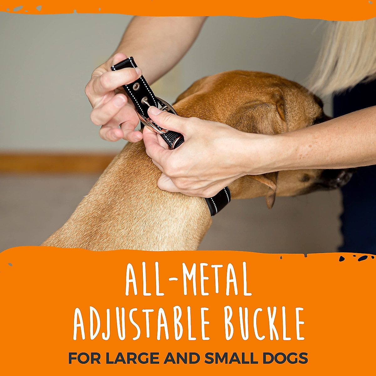 Mighty Paw Dog Collar - Padded Comfort - Neoprene Lining - High Visibility Reflective Threading - Weatherproof Nylon - Buckle Adjustable Dog Collar - Comfortable Dog Collar for All Dog Breeds