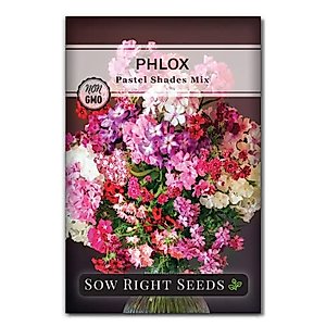 Sow Right Seeds - Pastel Shades Mixed Phlox Flower Seeds for Planting - Beautiful Flowers to Plant in Your Home Pollinator Garden - Non-GMO Heirloom Seeds - Colorful Annual - Great Gardening Gift
