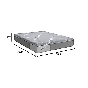 Sealy Posturepedic Foam Paterson Medium Feel Mattress, King