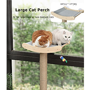 Window Cat Perch with Scratching Posts, 46" Wood Tree Bed for Large Inside Cats Climbing, Perching and Lounging, Mounted with 3 Strong Suction Cups (Wood Platform)
