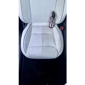 Renegade Products USA Tesla Detailing Kit - Car Wash Kit for Interior/Exterior Detail & Wash for Model S, Model 3, Model X, & Model Y