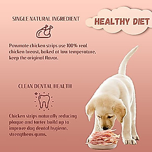 Pawmate Chicken Jerky Twist Strips for Dogs, Natural Healthy Low Fat Real Chicken Cuts Training Dog Treats with Taurine 11oz