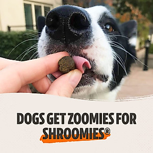 FreshCap Shroomies for Dogs - Turkey Tail Mushroom for Dogs, Immune Support Calming Chews, Treats Supplement with 7 Mushrooms for Cognition, Longevity, Cellular & Joint, Lipoma Removal, 180 Soft Chews