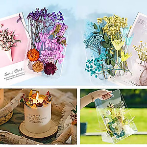 Dried Pressed Flowers Mixed Box for Resin Random, with 1 Tweezers, Real Natural Dry Mixed Flowers Leaves Bulk Herbs Kit for Scrapbooking DIY Art Crafts, Nail, Candle, Soap Making