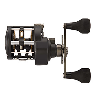 Penn FTHII20LWLH Spinning Rod & Reel Combos, Black Gold