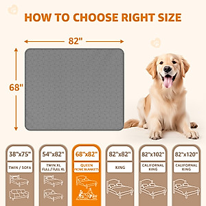 LOOBANI 2 Pack Waterproof Dog Blanket, Reversible and Washable Pet Bed Covers, Protects Furniture, Couch, Bed, and Car from Spills and Scratches, Soft and Cozy for Large Dogs and Puppies, 68x82In