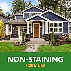 Spectracide Wasp & Hornet Killer, Kills Wasps & Hornets, 2 Count, 20 Ounce (Aerosol Spray)